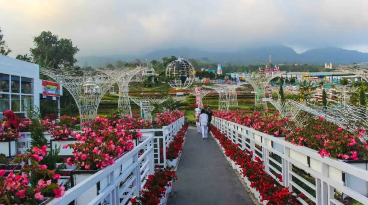 Info Tiket Masuk dan Jam Buka Celosia Flower Garden di Semarang, Taman ...