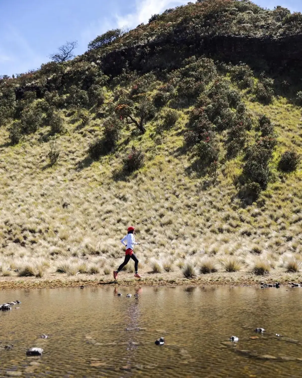 Rute Pendakian Gunung Lawu via Candi Cetho, Info Pos dan Estimasi Waktu ...
