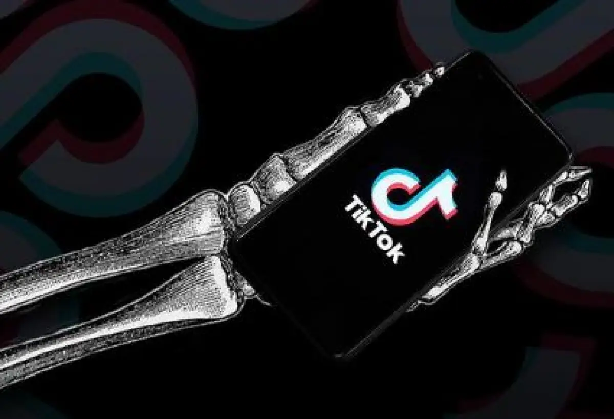 BAHAYA! Project S TikTok Berpotensi Mematikan UMKM di Indonesia, Kok ...