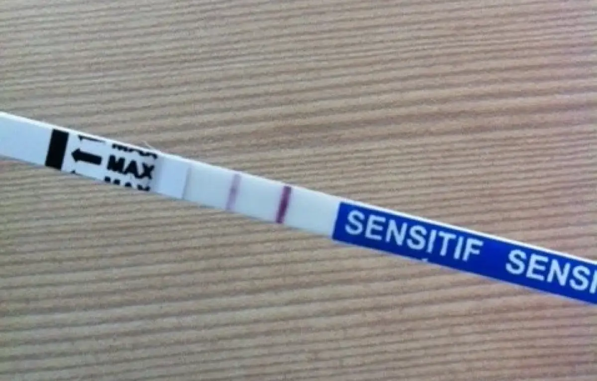 Hasil Tespek Samar, Hamil Tidak Ya? Info Penting untuk Pejuang Garis ...